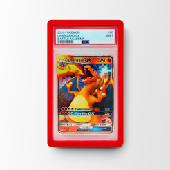 Dragonscale Supplies | PSA Bumper Guard Protectors (Solid ...